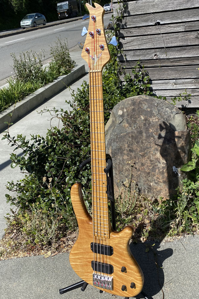 Custom 5 String Bass Guitars